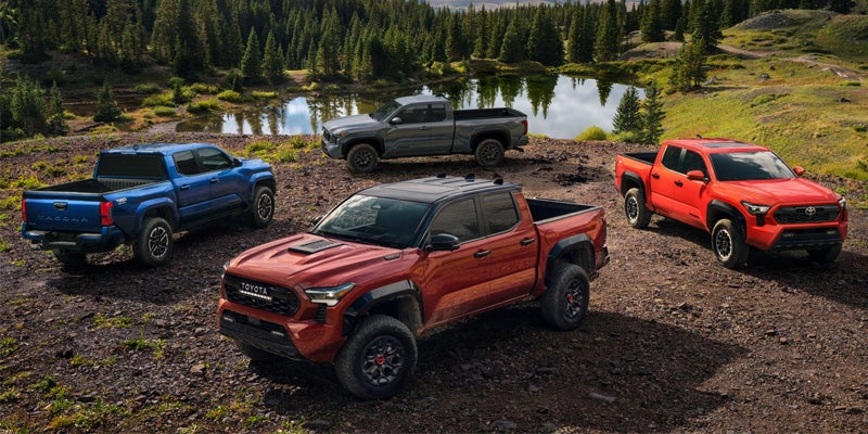 Exterior & Interior Toyota Tacoma Colors